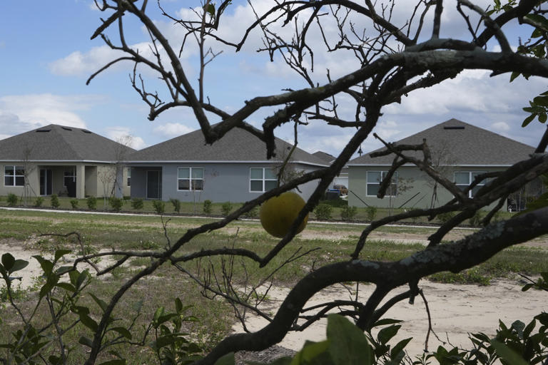 Hit by storms and disease, Florida's citrus growers try to survive ...