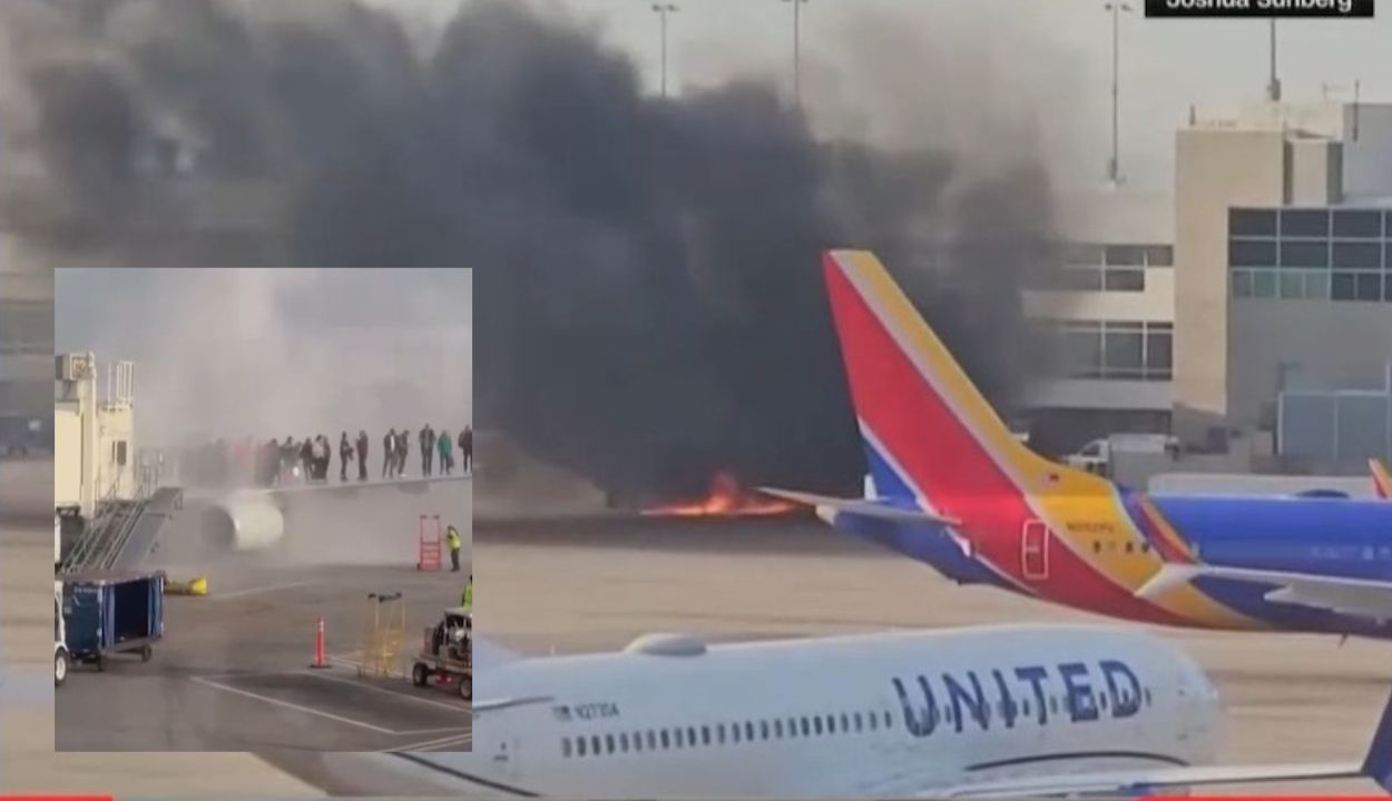 WATCH: American Airlines Plane Catches Fire, Panicked Passengers Line ...