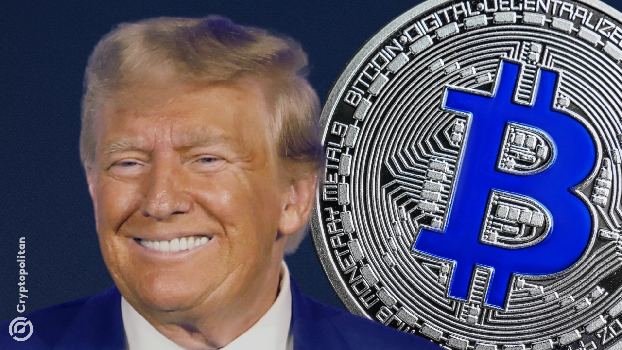 Rep. Byron Donalds introduces bill to make Trump’s strategic Bitcoin ...