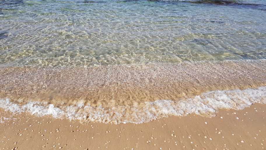 12 Weird Things That Have Washed Ashore