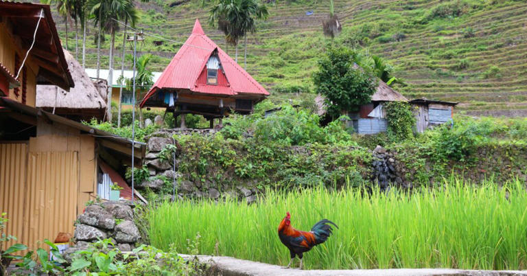 Americans Guide for Moving to the Philippines [For Expats]