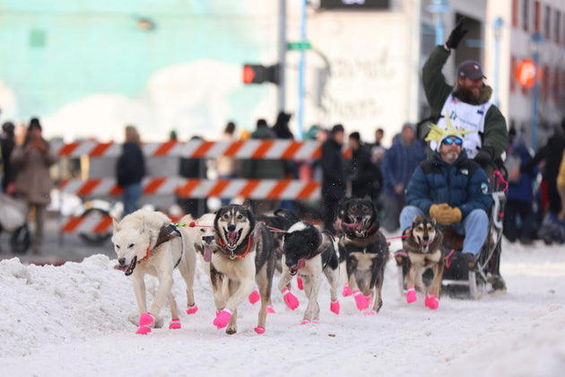 Ex-Reality Star Jessie Holmes Wins Iditarod In Race Marred By Death Of ...