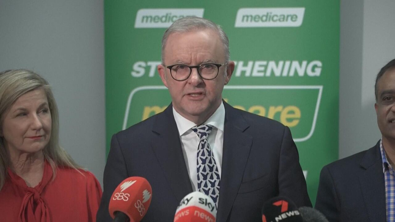 ‘Take another animal that can actually fight back,’ says Australian PM ...