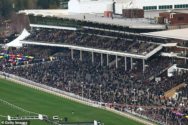 Cheltenham racegoers give their verdict on paying £7.80 for Guinness
