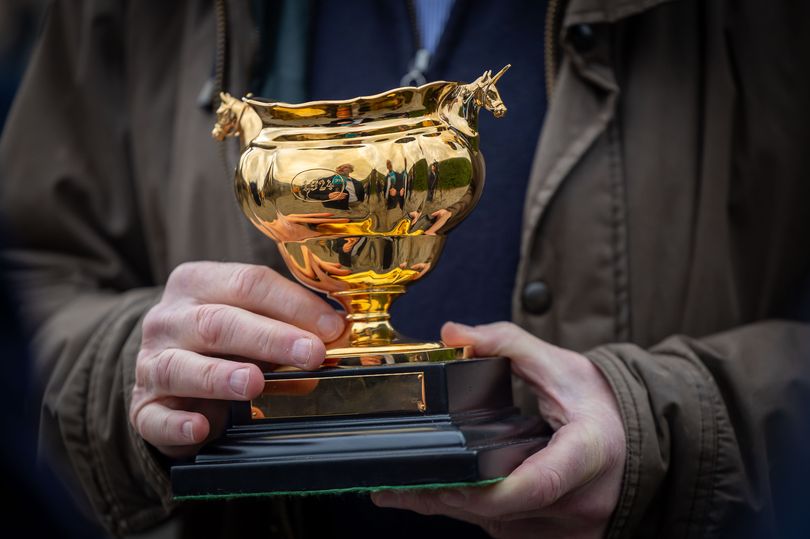 Cheltenham Gold Cup prize money and how it compares to other sporting ...