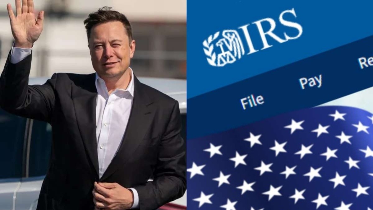 Will Direct File be cut? Musk's DOGE stock raises alarms