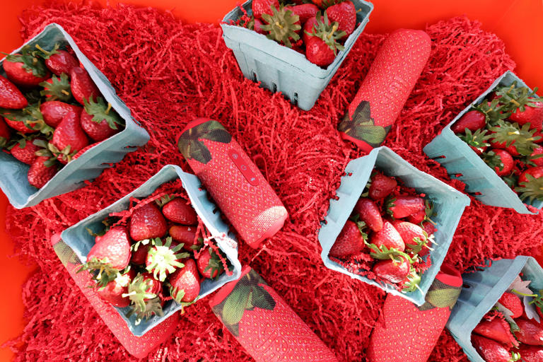 JBL at SXSW: DJ Sets From Laila! & Xandra, New Speakers, and College ...