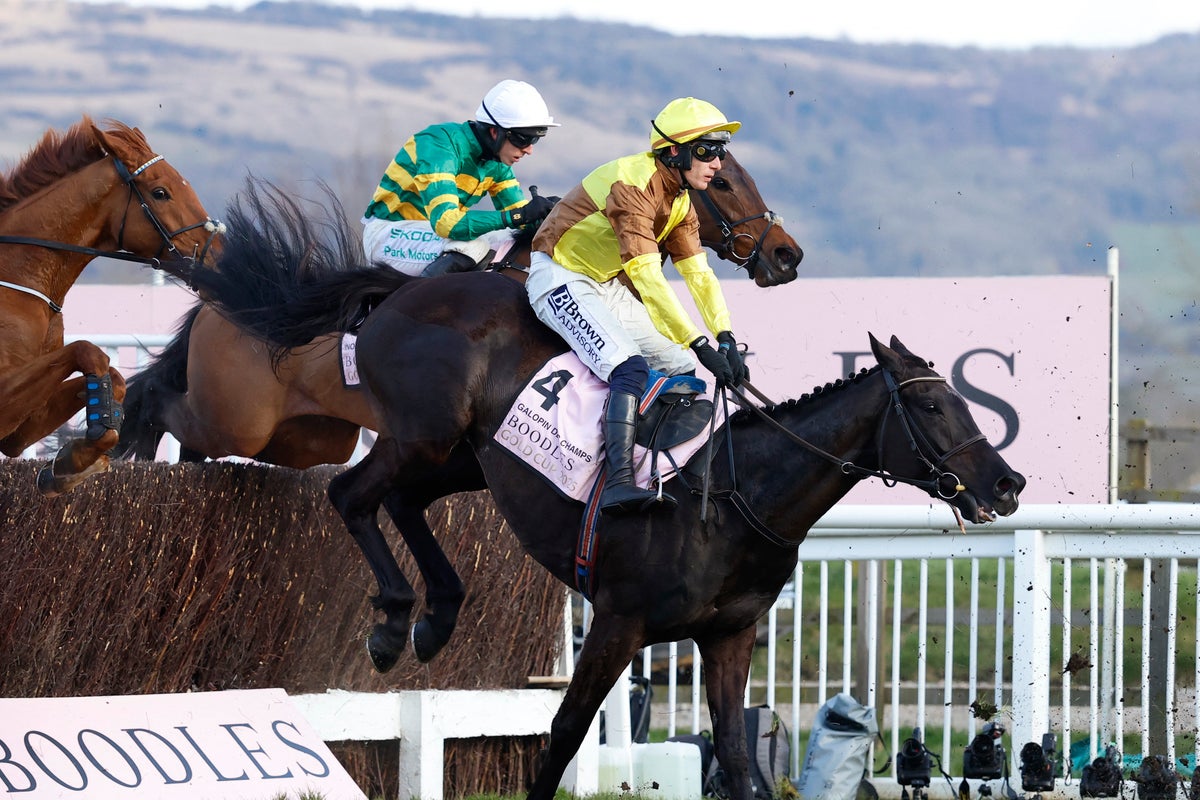 Cheltenham Gold Cup results LIVE: Inothewayurthinkin claims victory as ...