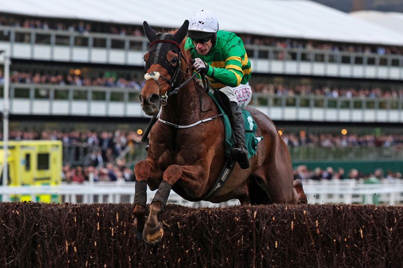 JP McManus horse dies in Gold Cup run despite being winning owner