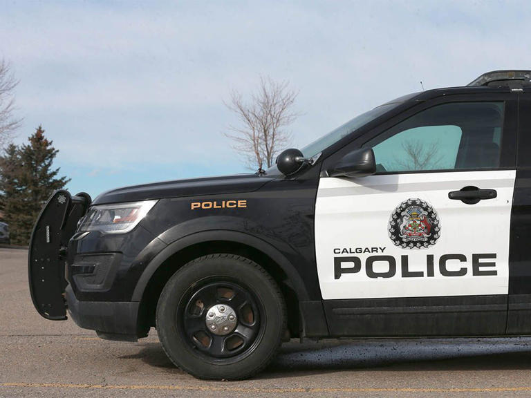 Calgary police investigating assault near Chinook CTrain station