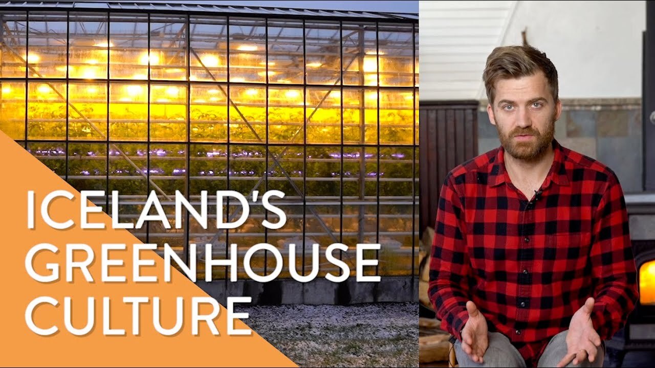 How Iceland Grows So Many Vegetables