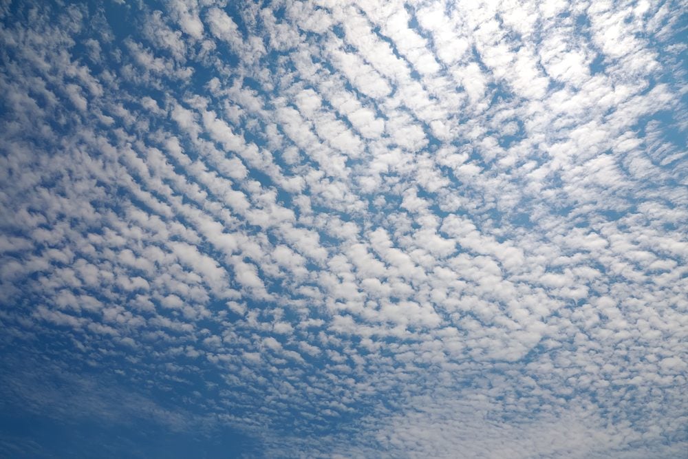 Knowing These 6 Types of Clouds Can Help You Predict the Weather
