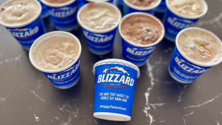 14 Dairy Queen Blizzards, Ranked