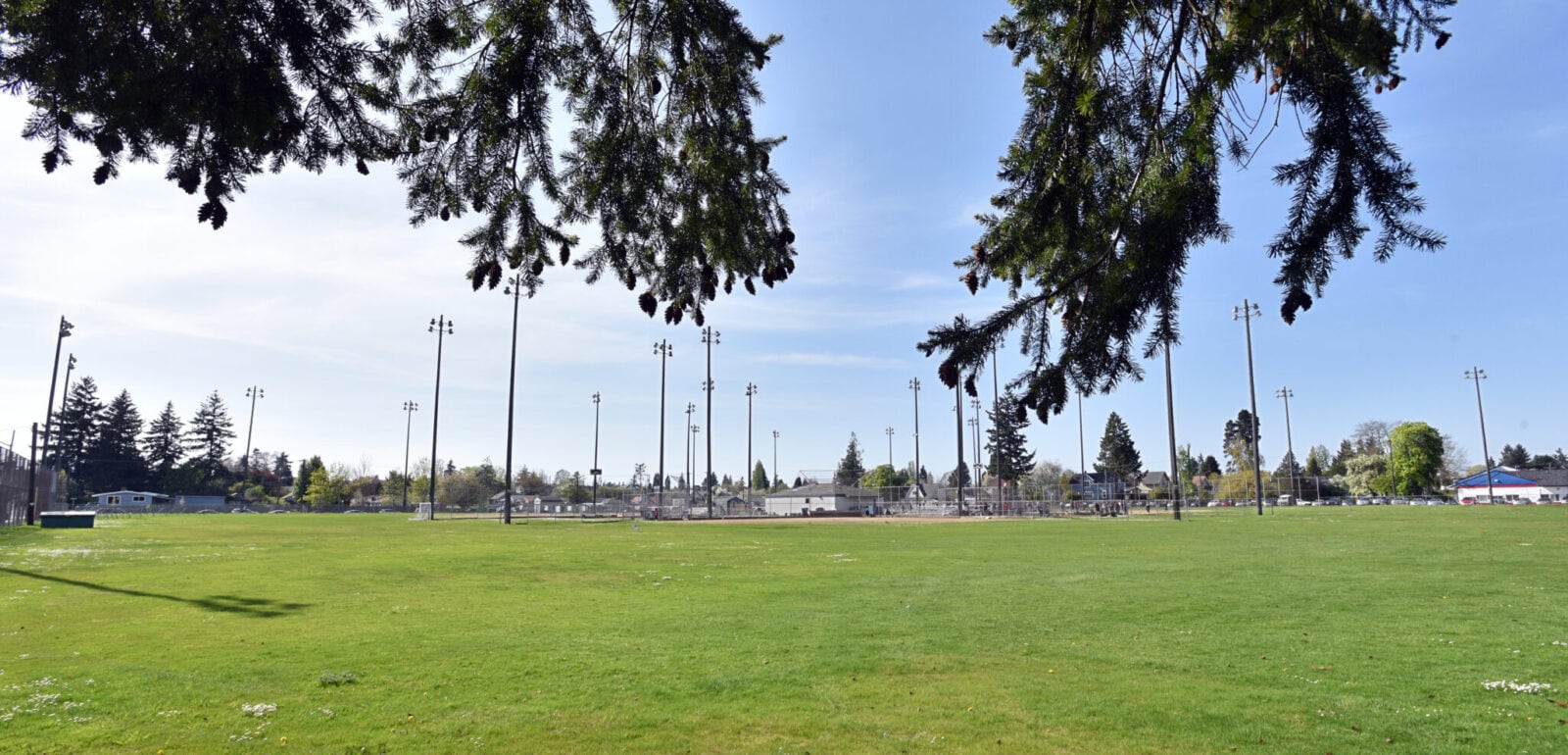 Tacoma athletic fields seeing multi-million dollar update