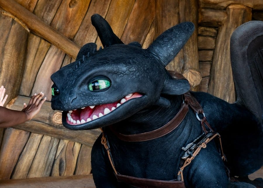 VIDEO: Universal Orlando Resort Shares Footage of Toothless Meet & Greet