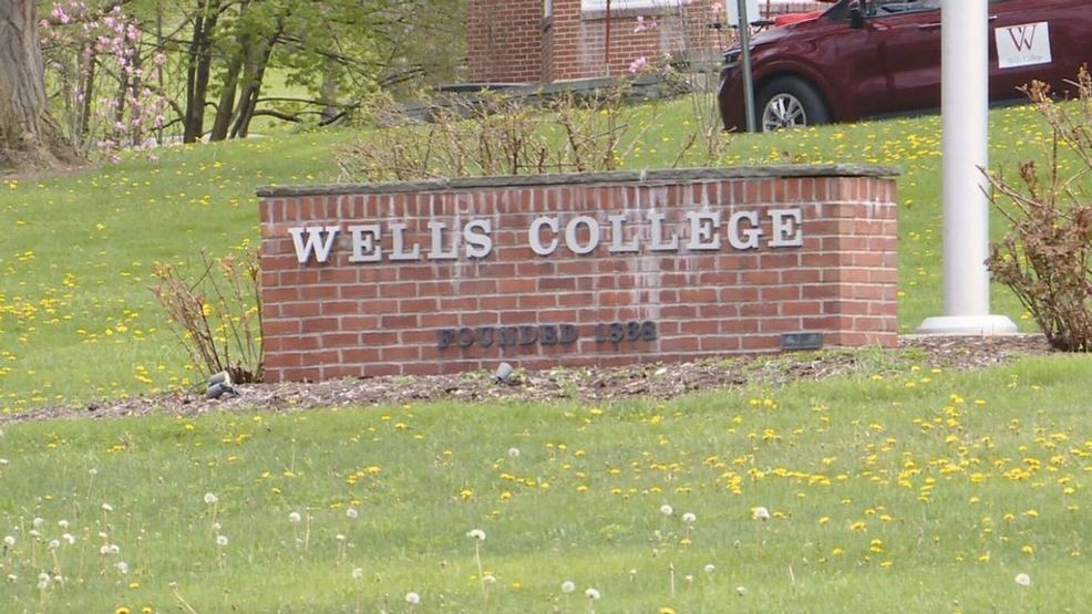 Proposal seeks to turn old Wells College Campus into 'vibrant ...