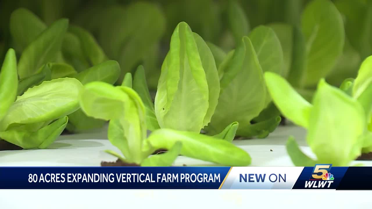 Greater Cincinnati-based 80 Acres Farms expanding across the United States