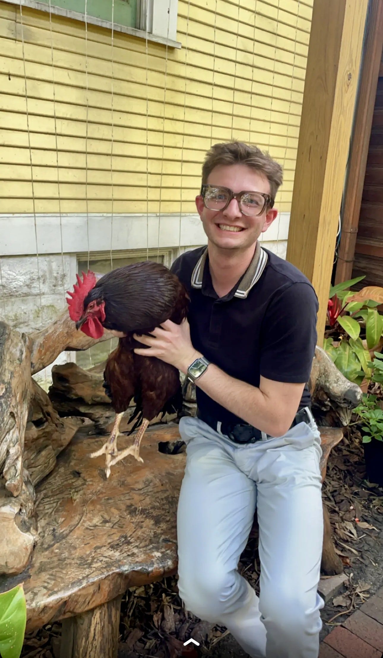 Kidnapped rooster Garbanzo returned home to Third Wave in New Smyrna Beach