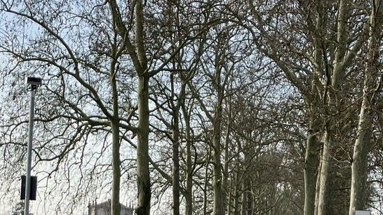 Velox, c’è la data di attivazione del nuovo rilevatore in via Matteotti