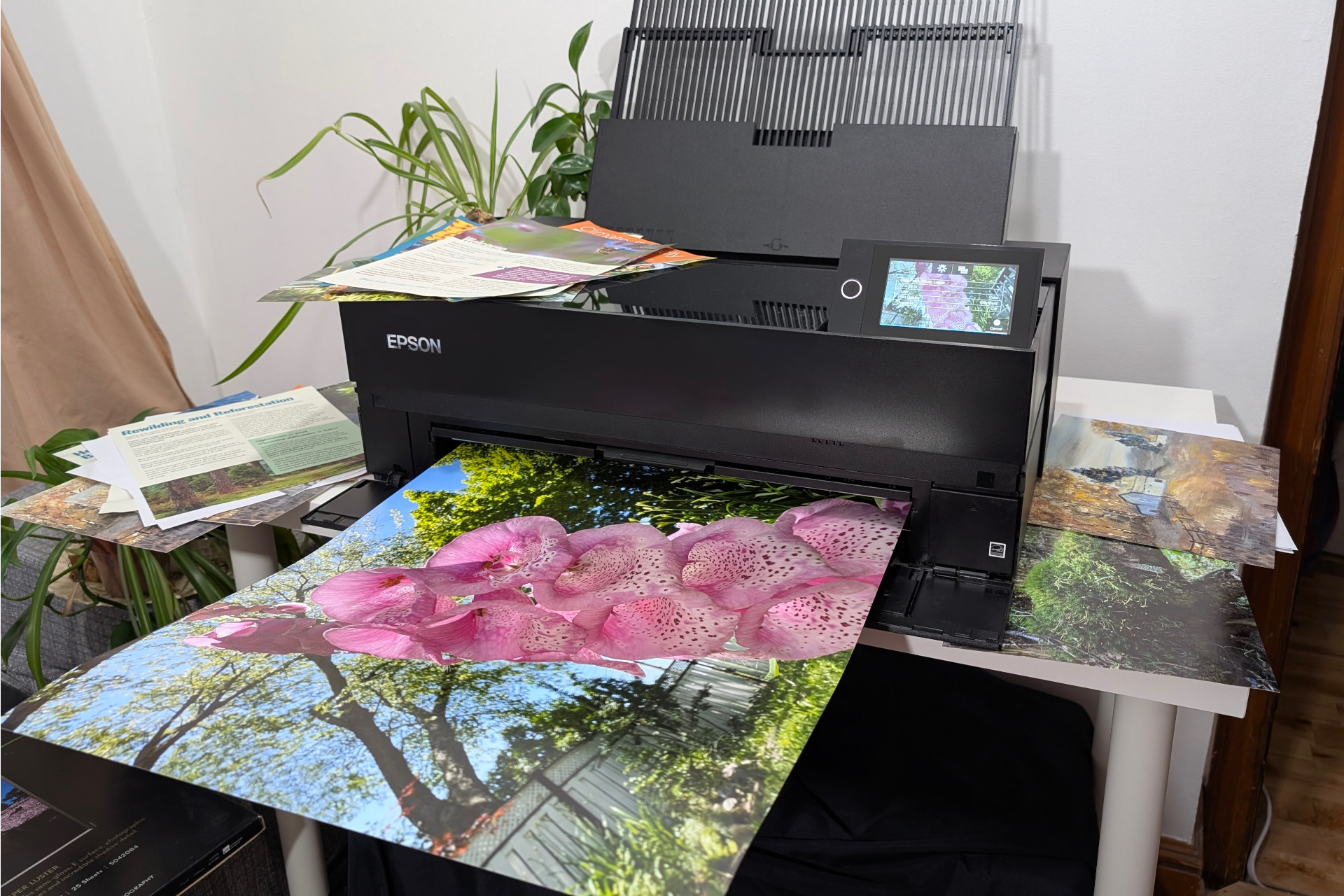 Epson SureColor P900 review: a photographer’s printer with poster-size ...