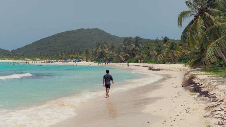 Creaming Vs. Muffin Method: When To Use Each For Your Baked Goods