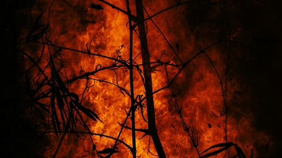 Oklahoma wildfire map, tracker, evacuation updates: Fires reported in ...