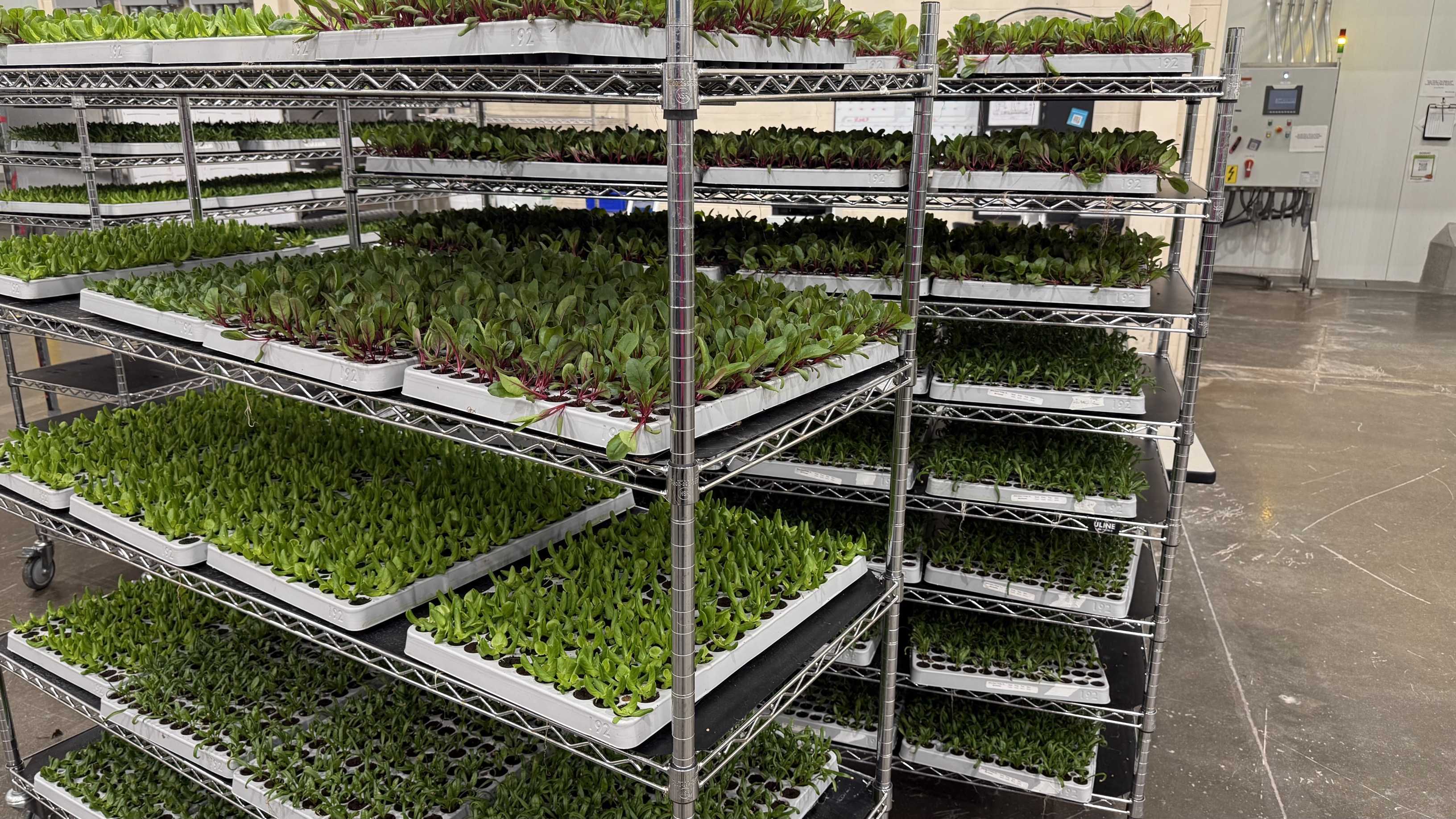 Greater Cincinnati-based 80 Acres Farms expanding across the United States