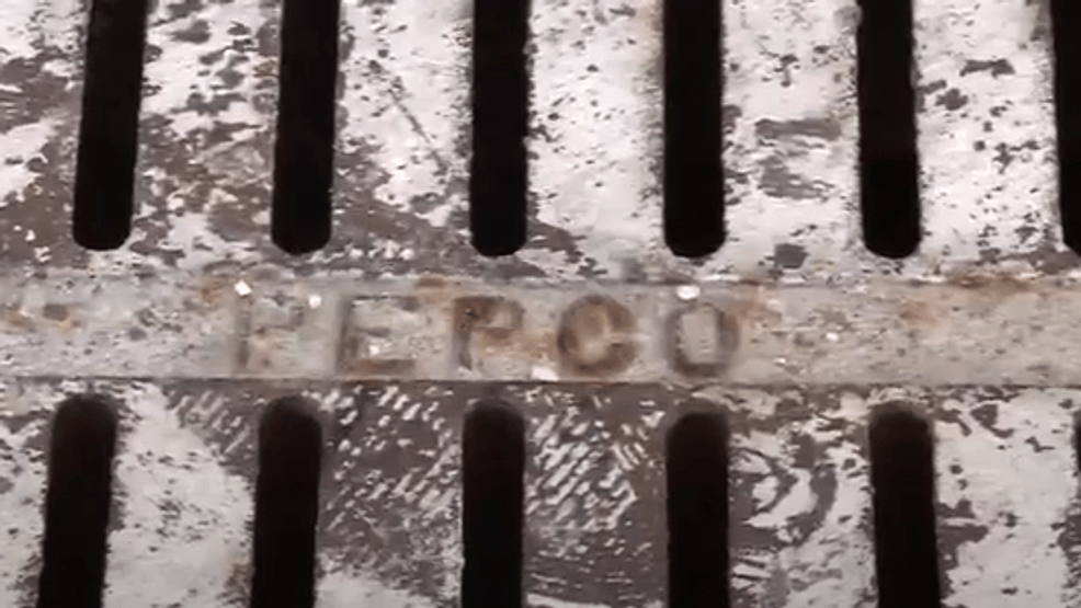 Melting snow and faulty cable led to fatal electrocution of dogs near ...