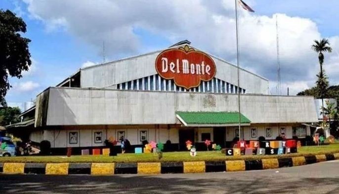 Del Monte Pacific widens losses
