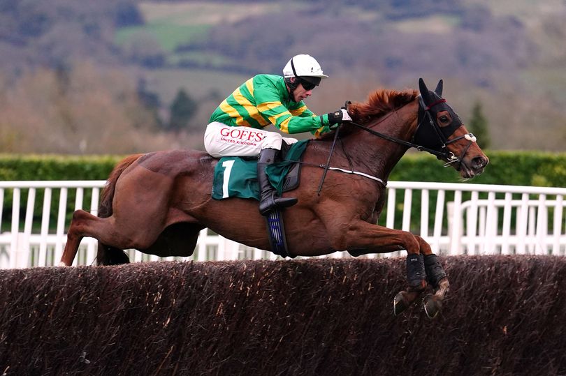 Cheltenham Gold Cup tragedy as Corbetts Cross dies after 'sustaining ...