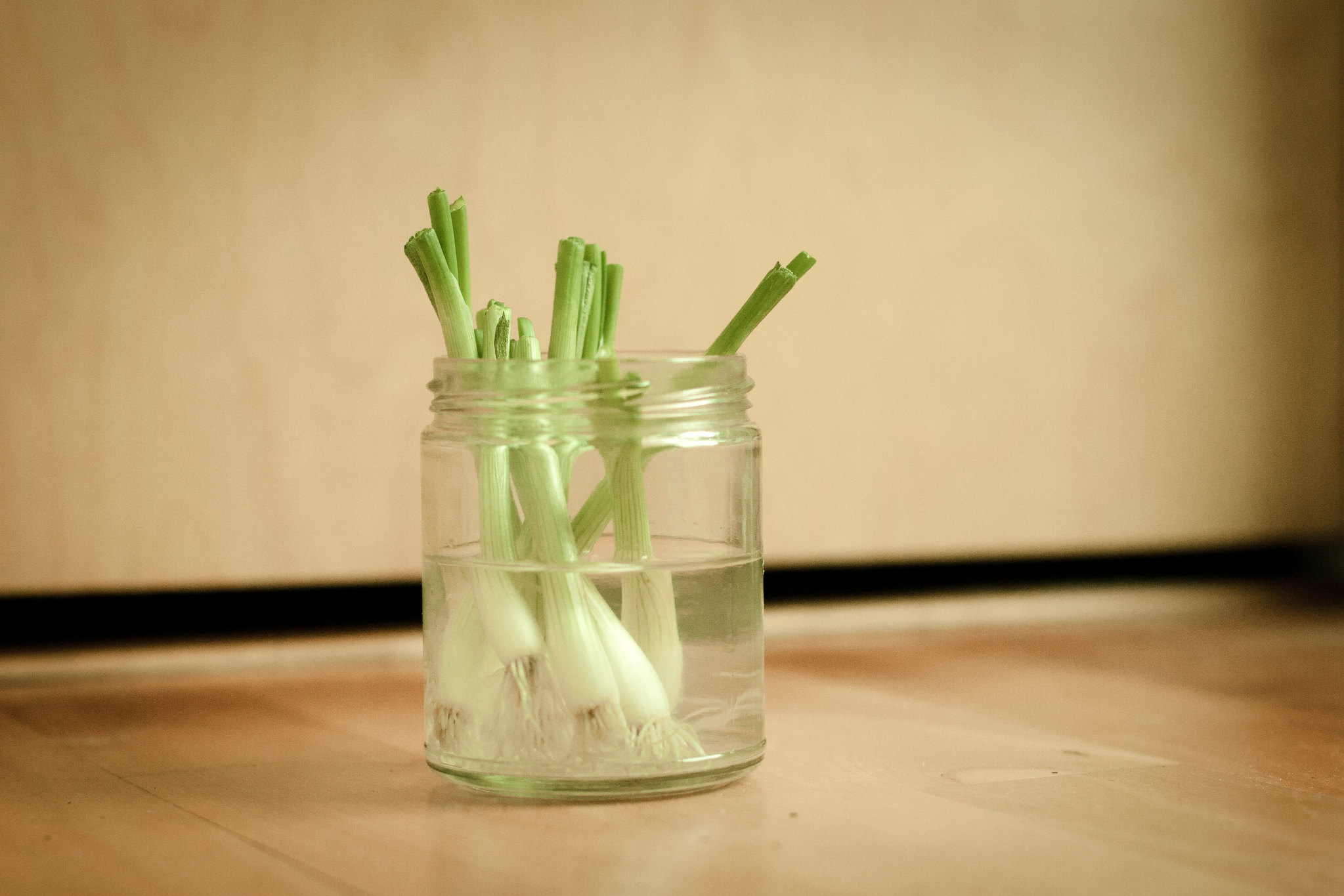 16 Foods You Can Regrow From Scraps
