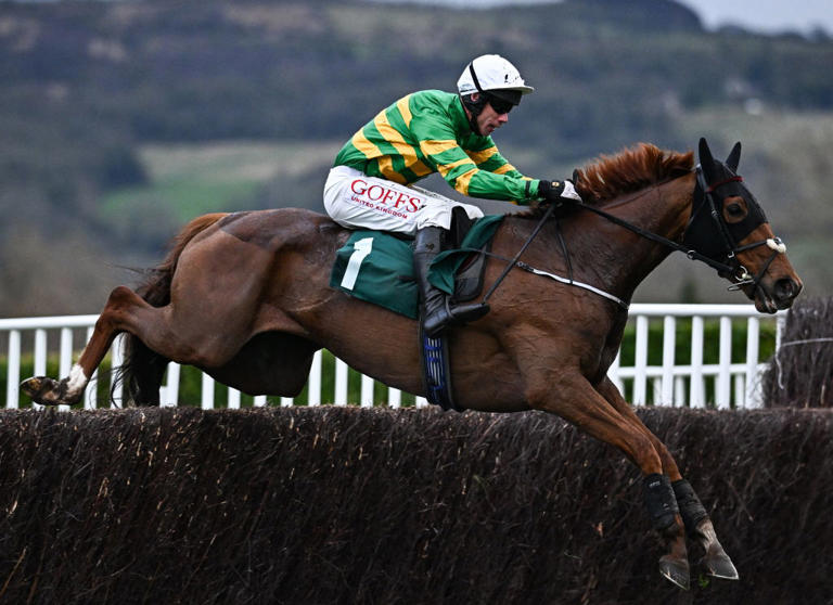 Racehorse Corbetts Cross dies after fall in Cheltenham Gold Cup