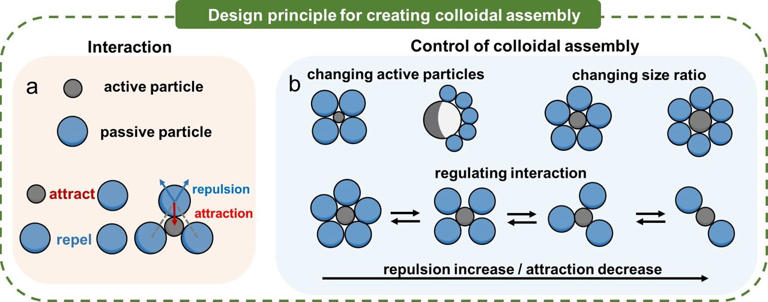 New approach to reconfigurable colloidal assemblies paves way for ...