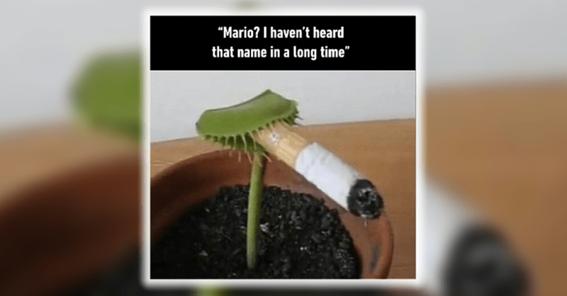 24 Nintendo Memes That'll Take You Back