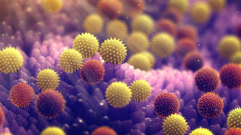 New-Onset Seasonal Allergies in Adults