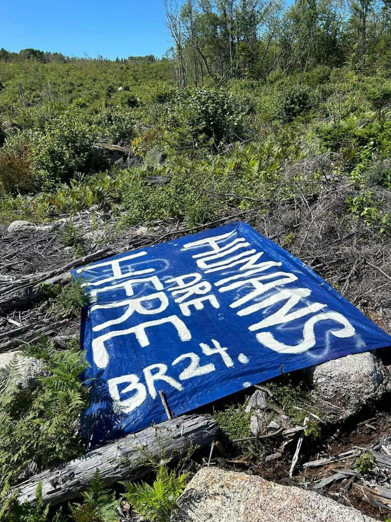 Bear River, N.S., area residents act to protect land, water from ...