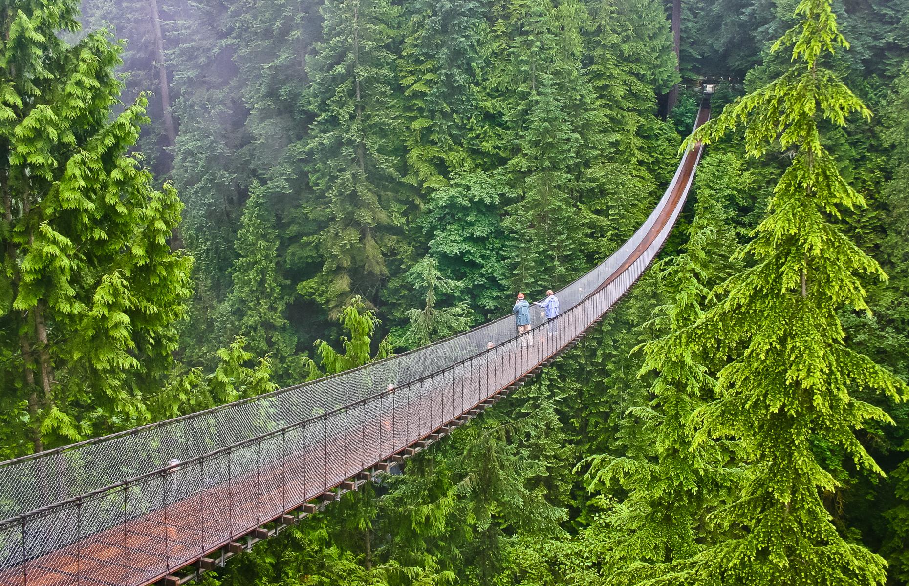 30 Of Canada S Most Beautiful Bridges Ranked