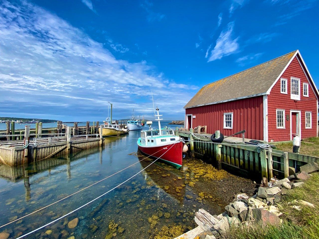 Municipal Election 2024: Municipality of Digby sees 11 people vying for ...