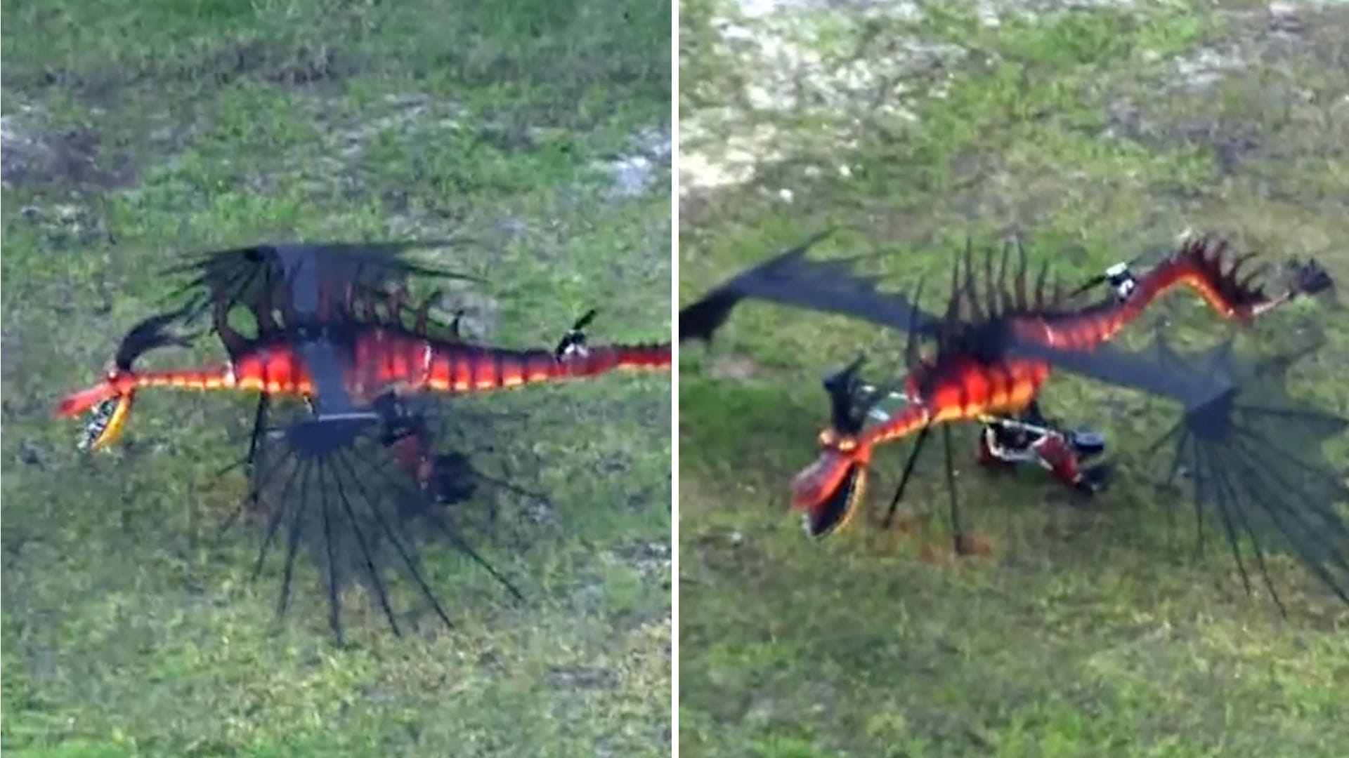 One Week After Opening, Flying Dragon Drones Nowhere to Be Seen at Epic ...