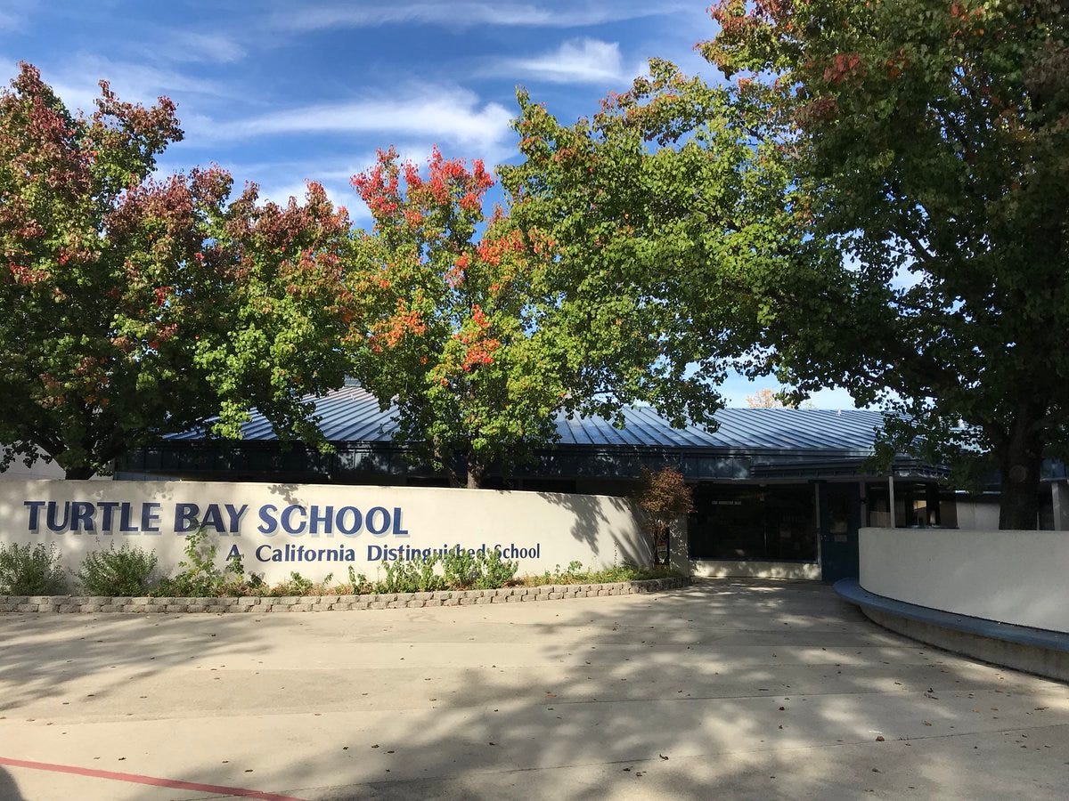 Turtle Bay Elementary third-graders sickened after eating 'adult gummies'