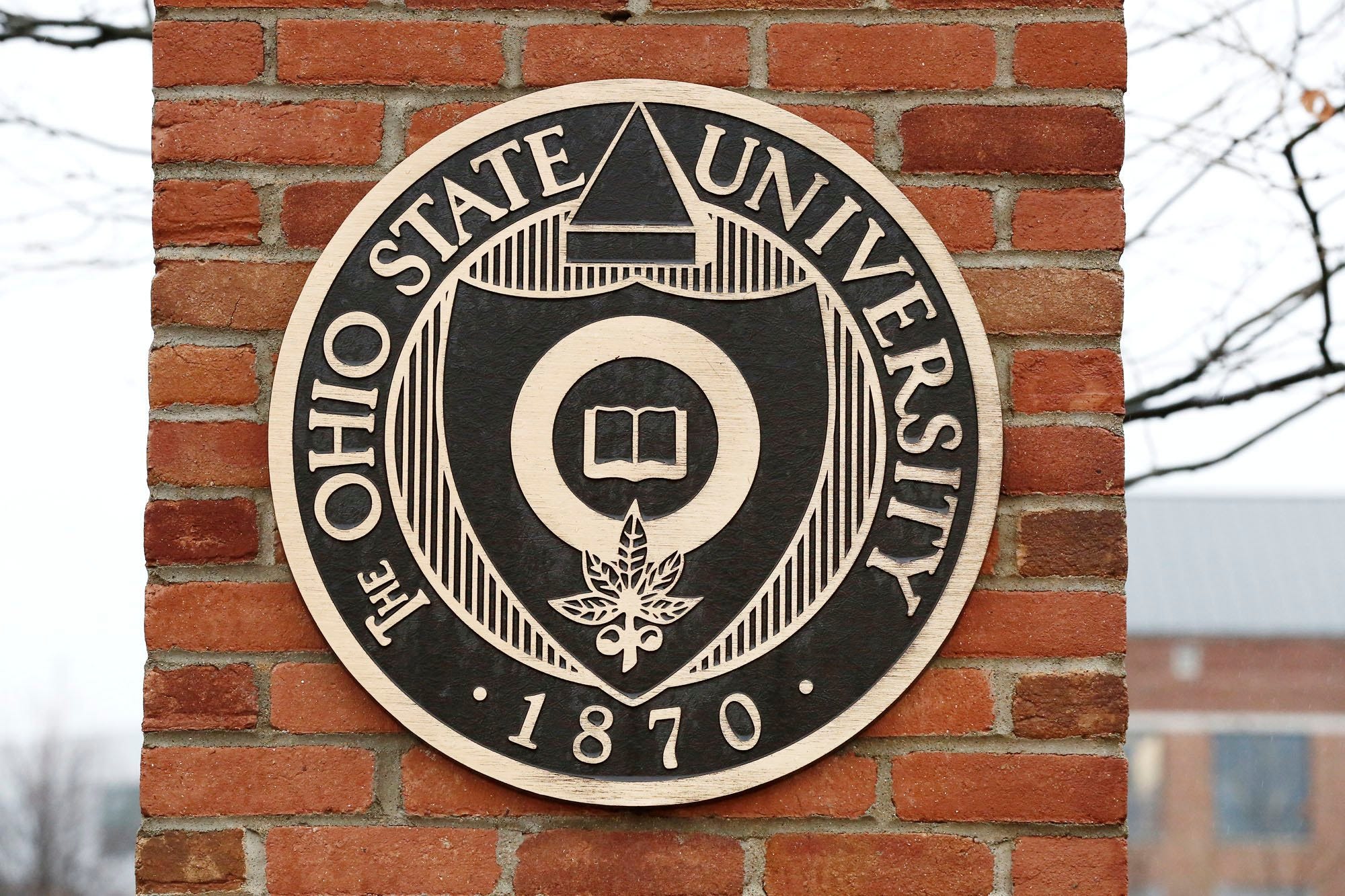 Former Ohio State cheerleading coach says she was fired for being vocal ...