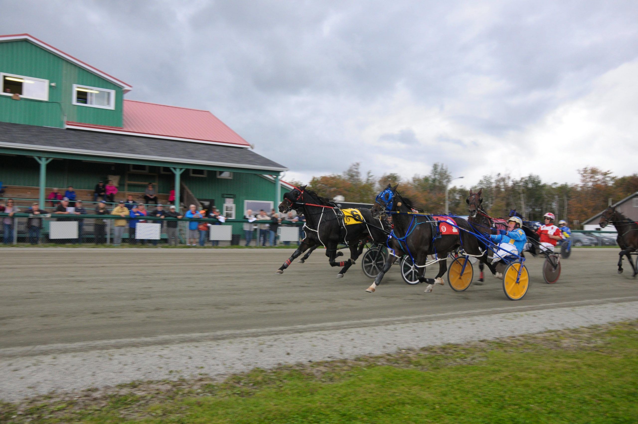 HARNESS RACING: Hugh Heff remains unbeaten at Northside Downs