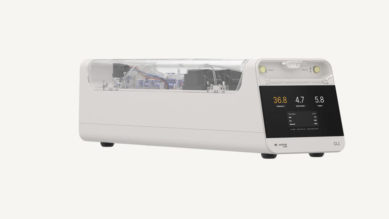 Scientists Unveil The World's First Computer Powered By Human Brain Cells