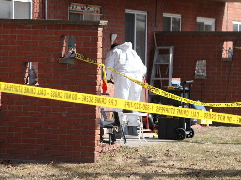 UPDATE: OPP arrest Leamington homicide suspect