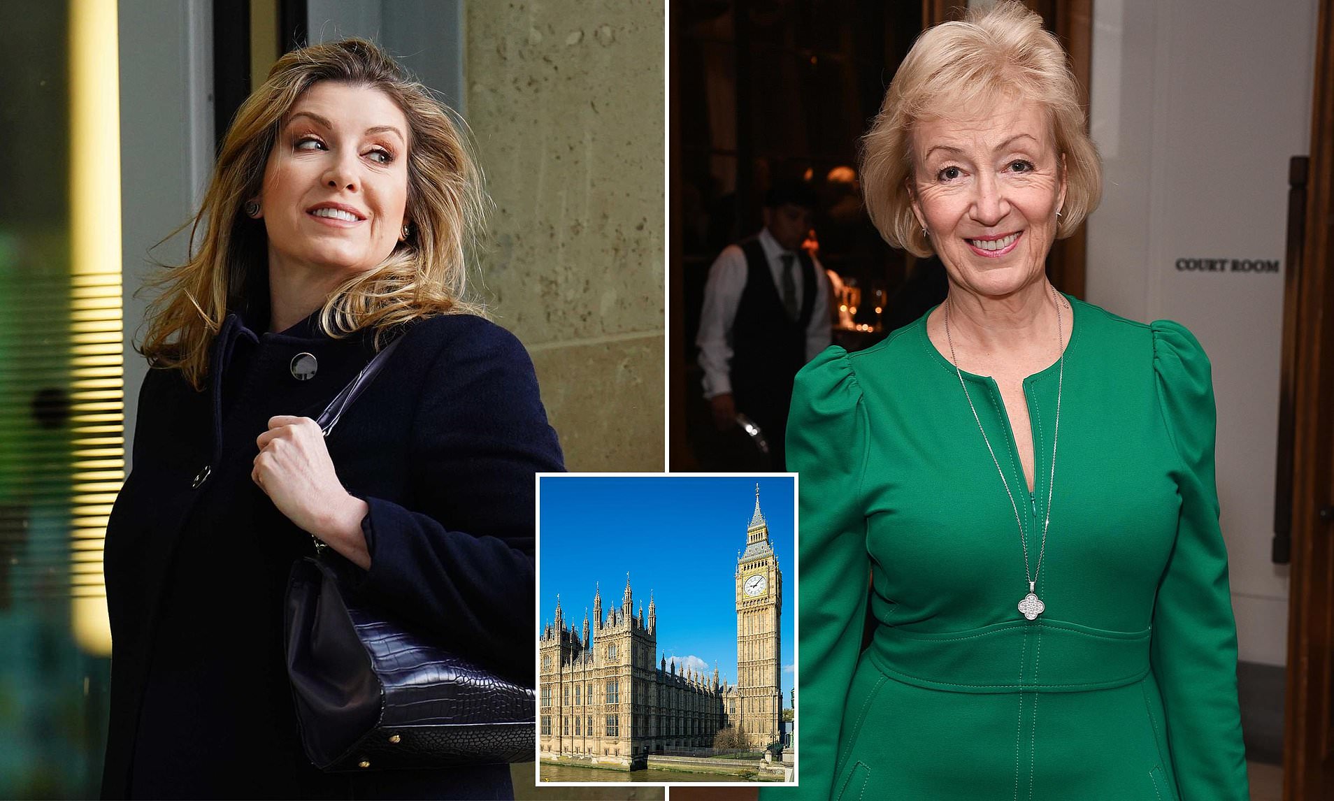 Number of former MPs with access to Parliament surges to new high