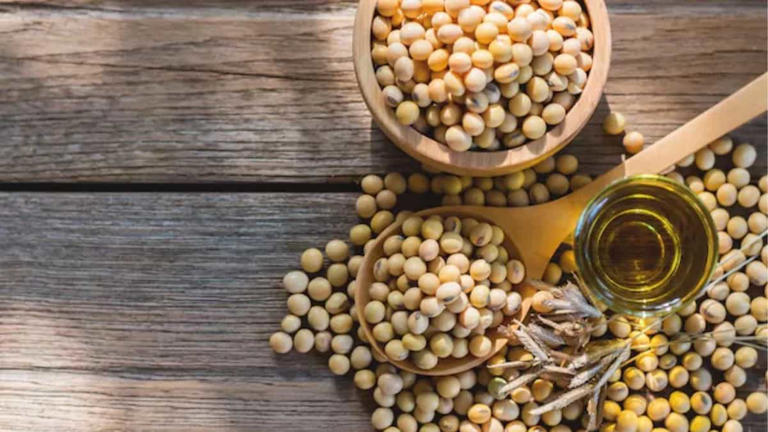 Lobia And Soybean: Know The Difference Between These Legumes