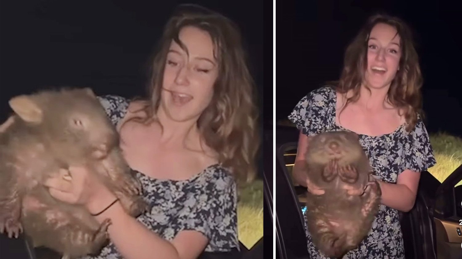 Woman who fled Australia after snatching wombat reveals why she did it