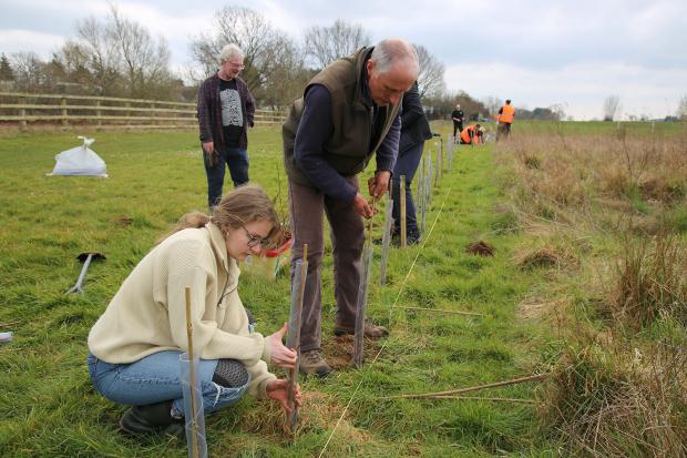 University and Worcester bird charity team up to help birds