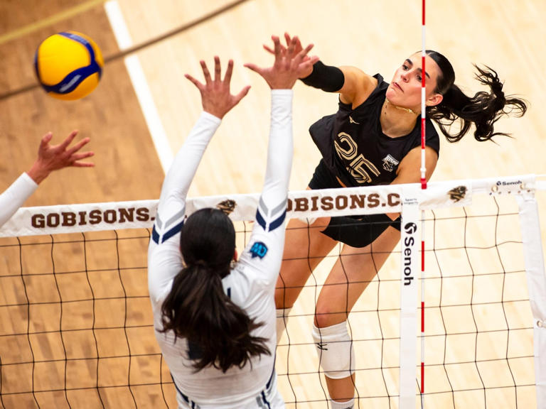 Raya Surinx captures second consecutive U Sports volleyball player of ...