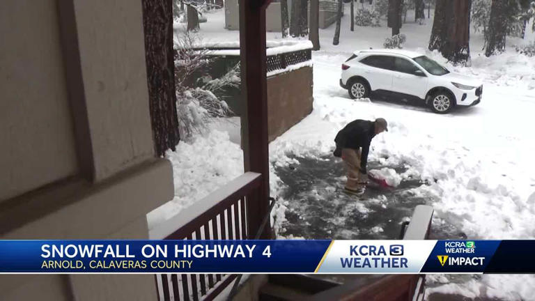 IPL Captains: 9 Indians and 1 foreigner, captains of all teams are ...